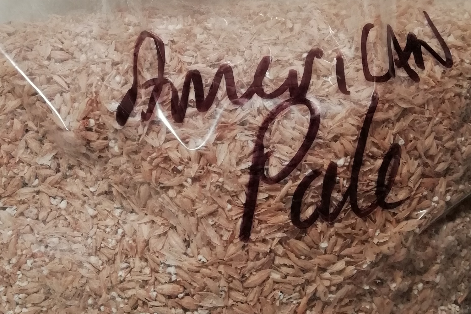 Brewing Roo Homebrew Technology - Beer Homebrew Machine